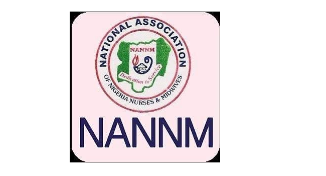 Association of Nurses and Midwives hails Kebbi governor over salary ...